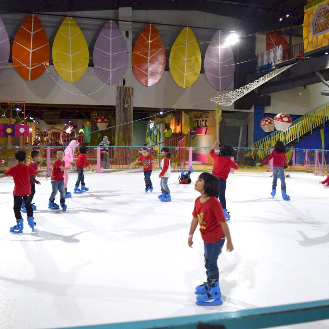 Commercial synthetic ice rinks l Uses and profitability